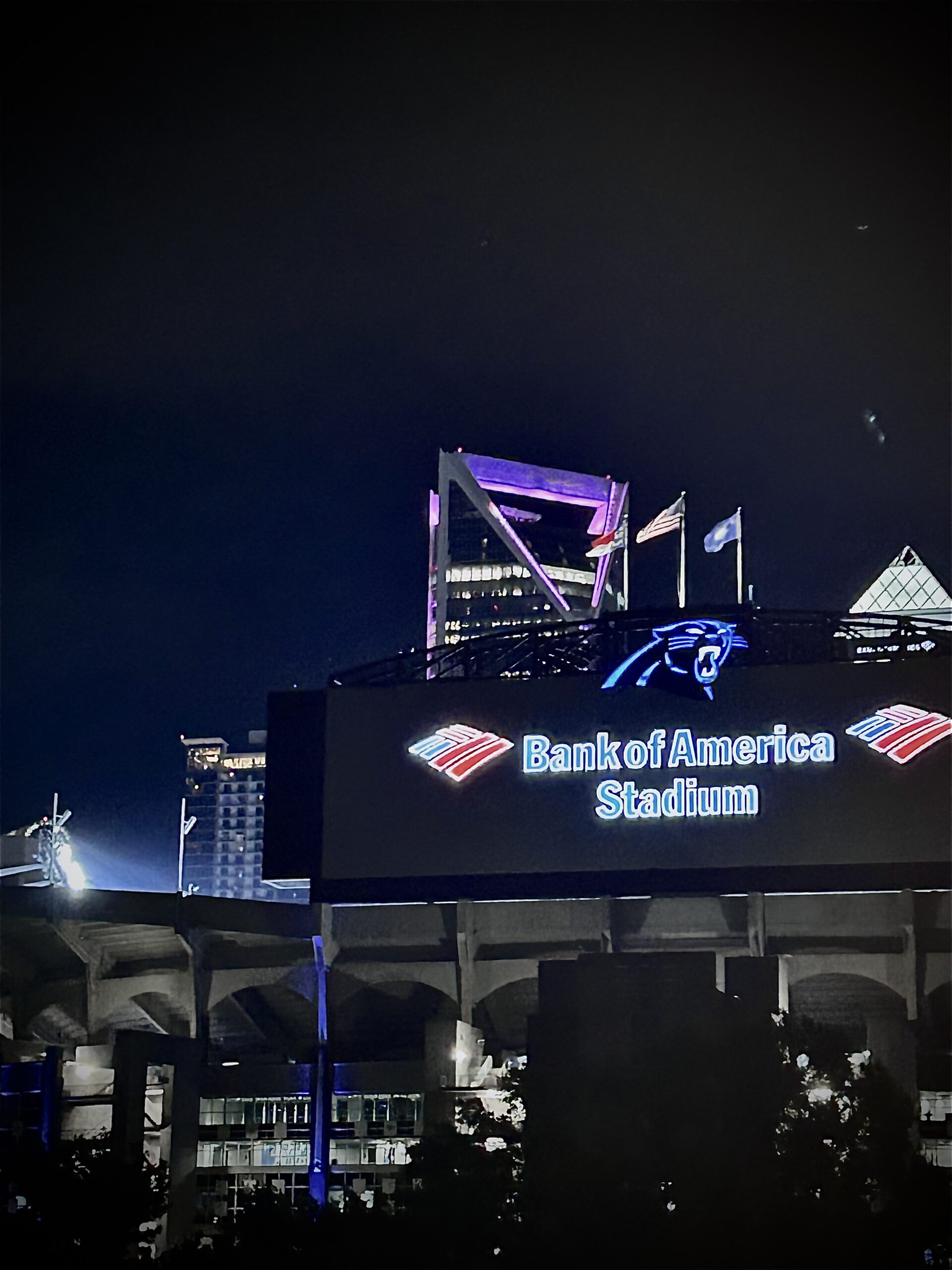 The Purple Promise Foundation – Fight to End Melanoma